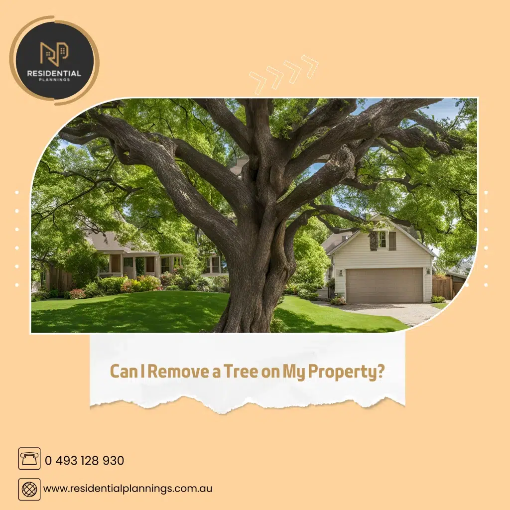 Can I Remove a Tree on My Property in Australia?